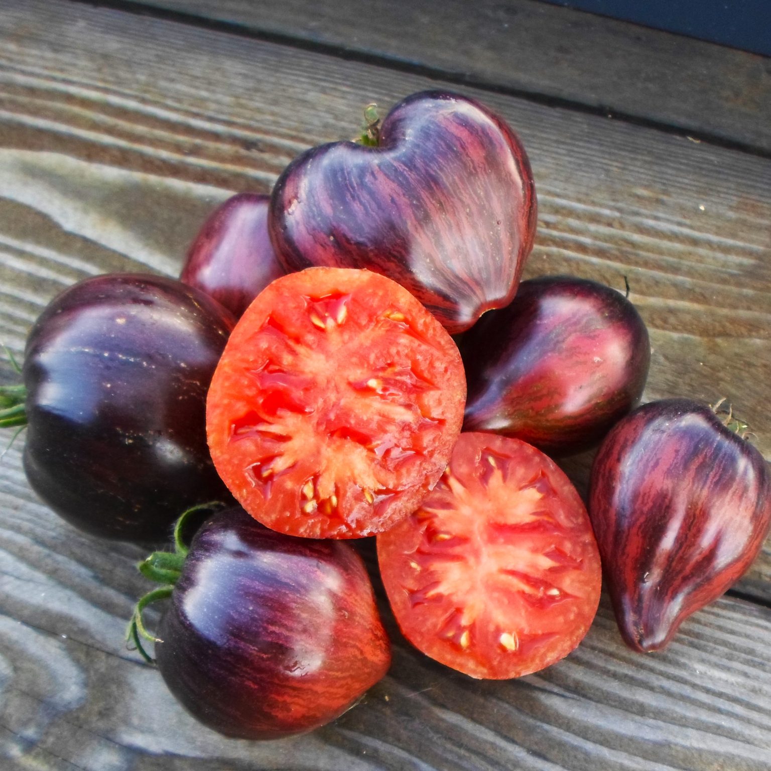 Rebel Starfighter Tomato (organic) - Wales Seed Hub | Hwb Hadau Cymru